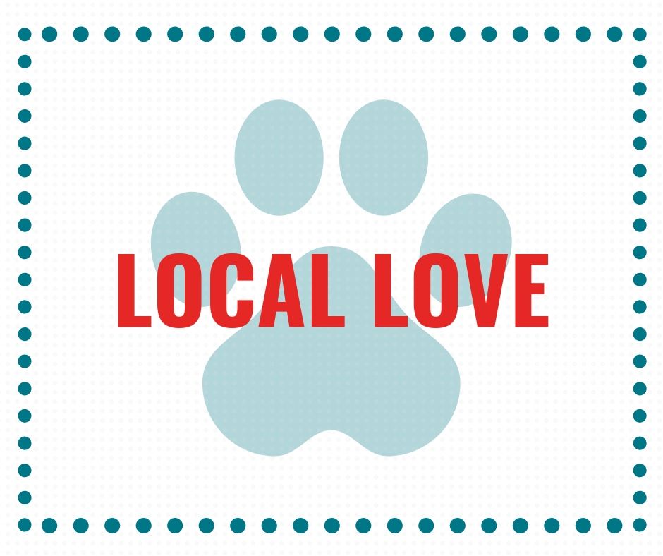 Local Vendor of the Month · Good Harvest